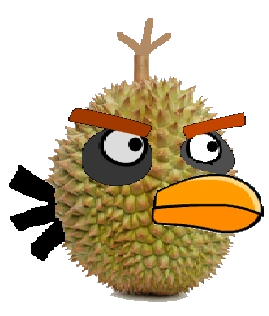 Durian Bird | Angry Birds Fanon Wiki | Fandom