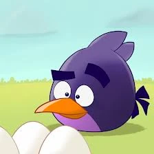 Maiky | Angry Birds Fanon Wiki | Fandom