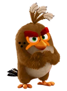 Chet | Angry Birds Fanon Wiki | Fandom
