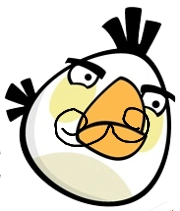 Matthew | Angry Birds Fanon Wiki | Fandom