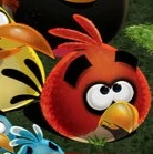 Rojo | Angry Birds Fanon Wiki | Fandom