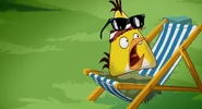 Chuck Time | Wiki Angry Birds | Fandom