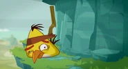Chuck Time | Wiki Angry Birds | Fandom