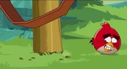 Chuck Time | Wiki Angry Birds | Fandom