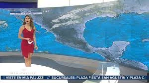 Helena | Angry Birds Munterz Wiki | Fandom