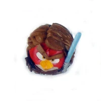 Anakin Skywalker Jedi Padawan Bird