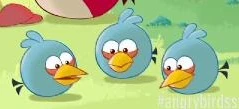 Blue Bird | Angry Birds Wiki | Fandom