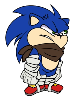 Sonic Boom Sonics | AngryDex Archives Wiki | Fandom