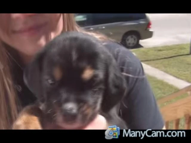 Princess (Dog) | Angry Grandpa Wiki | Fandom