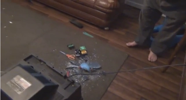 Destruction | Angry Grandpa Wiki | Fandom