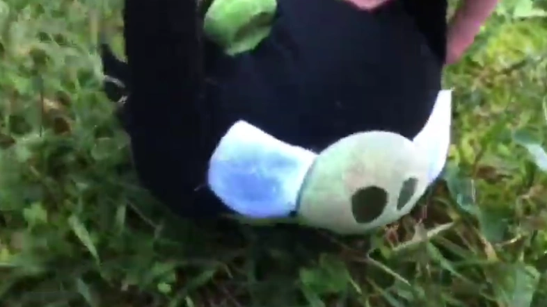 Batpig | AngryPig13 Wiki | Fandom