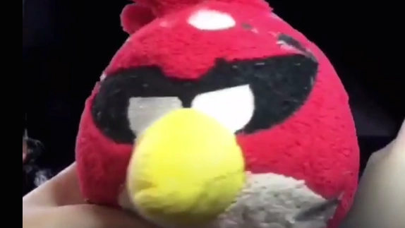 Bird Bot | AngryPig13 Wiki | Fandom