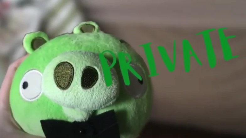 Private | AngryPig13 Wiki | Fandom