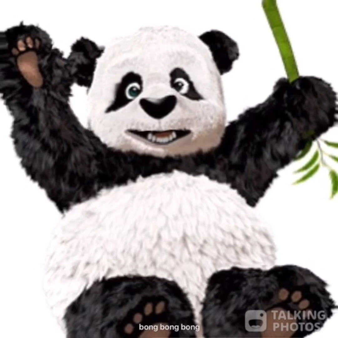 The Fake Panda | Angus80w Wiki | Fandom