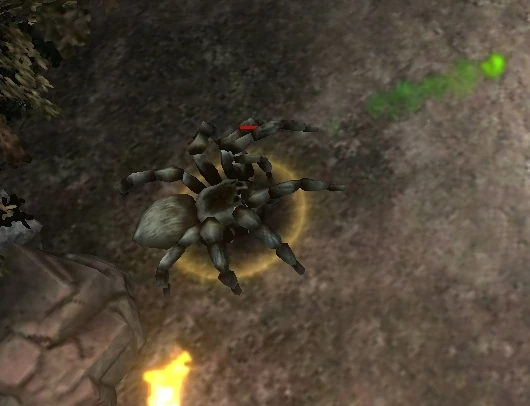 Tarantula | AnimA ARPG Wiki | Fandom
