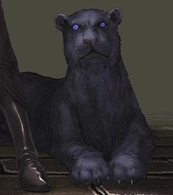 Daaku | Wiki Anima: Beyond Fantasy | Fandom