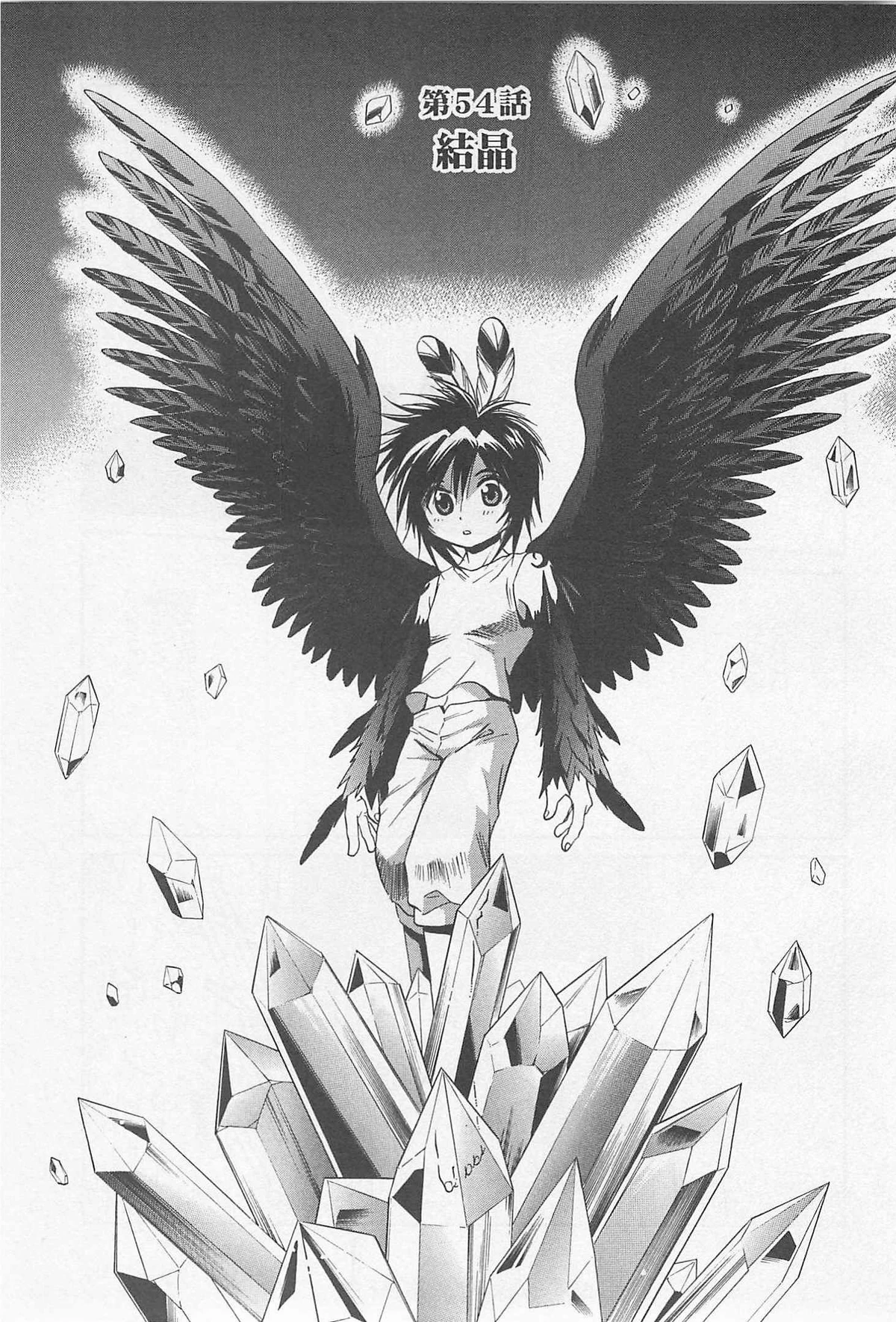 Crystal | +Anima Wiki | Fandom