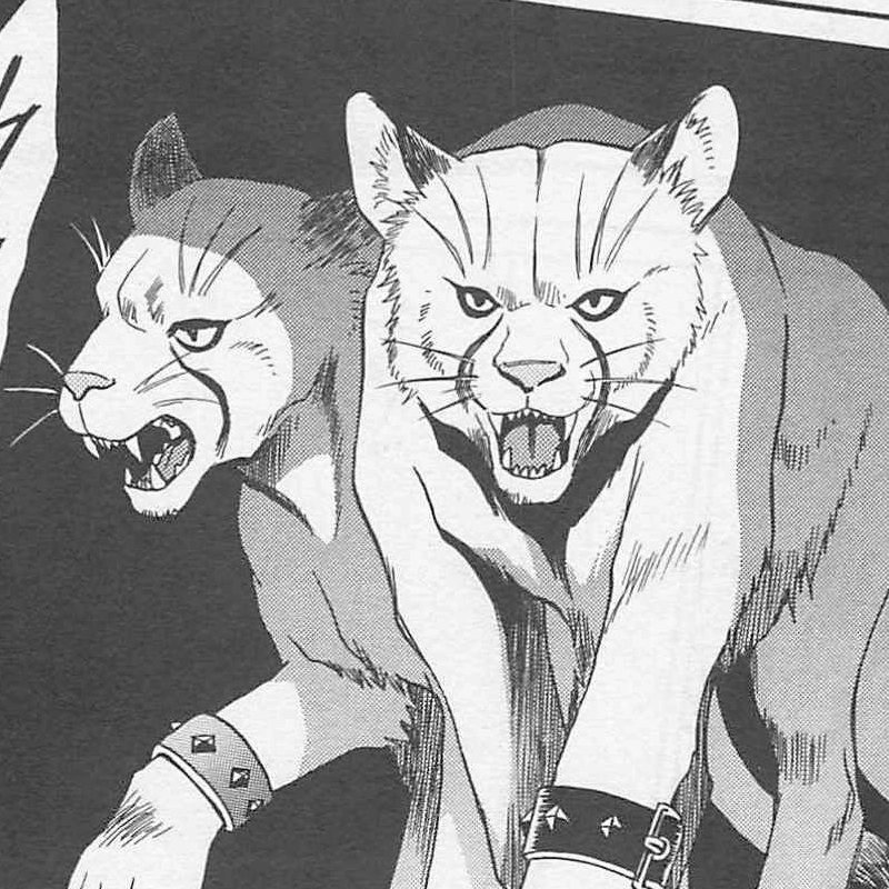 Tom & Elga | +Anima Wiki | Fandom