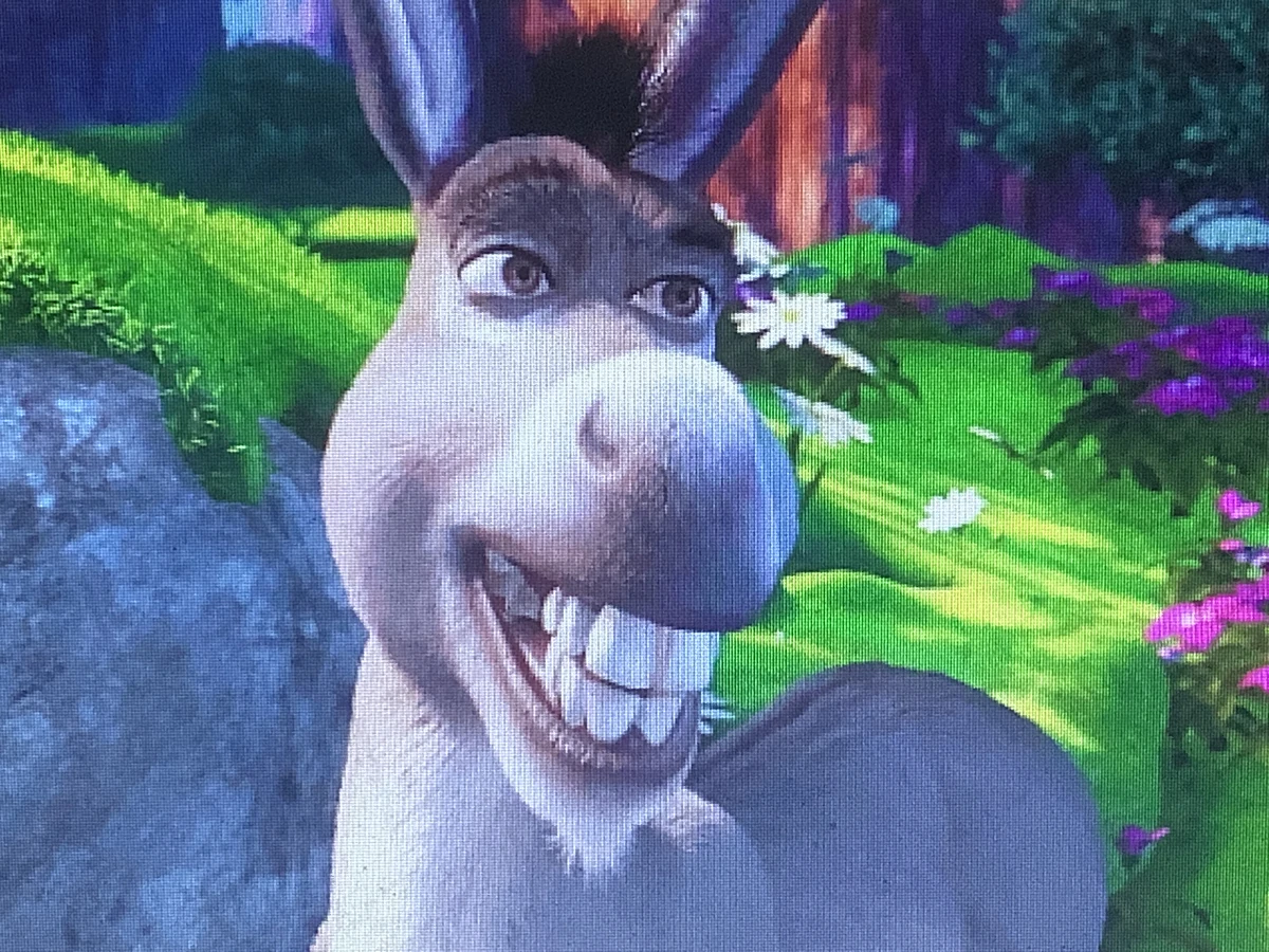 Donkey Shrek