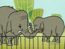 List Of Animals Who Seen in Dexter's Laboratory | Animal Atomizer Wiki ...