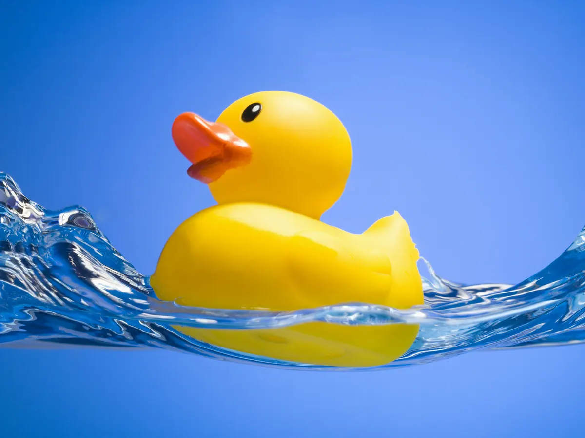 Rubber Duck | Animal Atomizer Wiki | Fandom