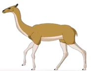 List Of Animals Who Were Seen in Cenozoic Beasts: Animated Size ...