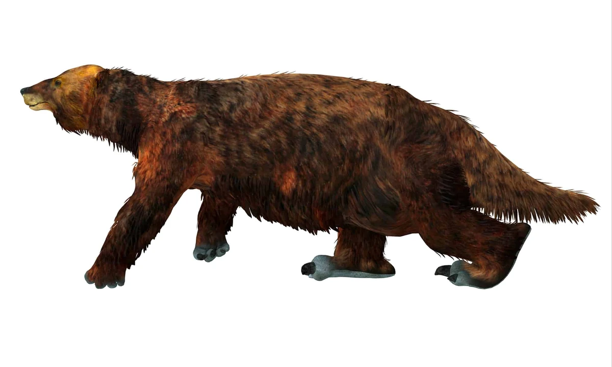 Megatherium | Animal Atomizer Wiki | Fandom