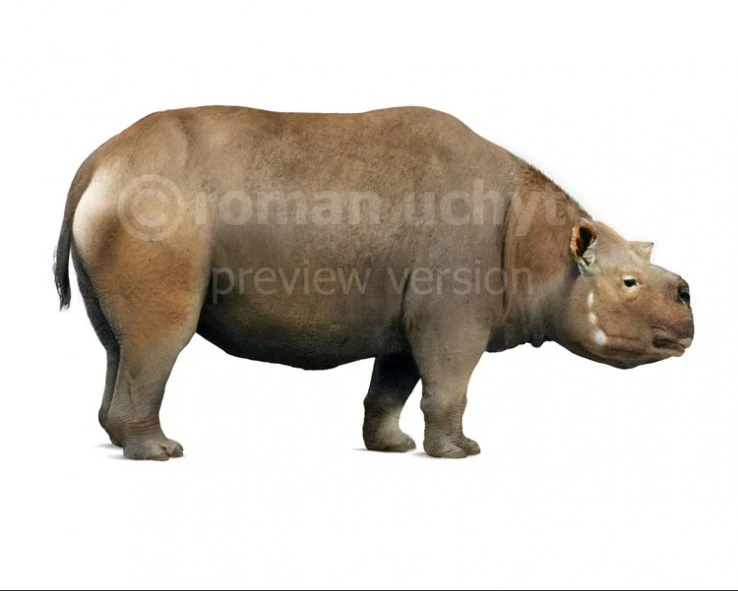 Trigodon | Animal Atomizer Wiki | Fandom