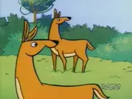 List Of Animals Who Seen in Dexter's Laboratory | Animal Atomizer Wiki ...
