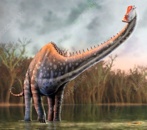 Diplodocus | Animal Atomizer Wiki | Fandom