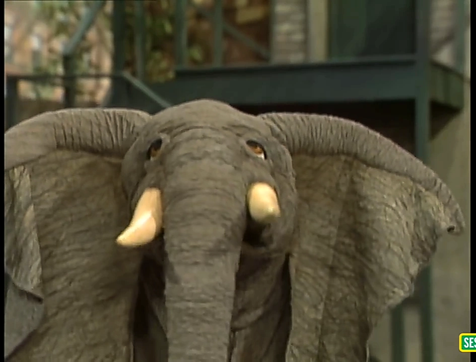 List Of Animals Who Seen In Sesame Street | Animal Atomizer Wiki | Fandom