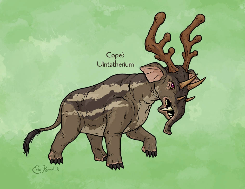 Old Uintatherium | Animal Atomizer Wiki | Fandom
