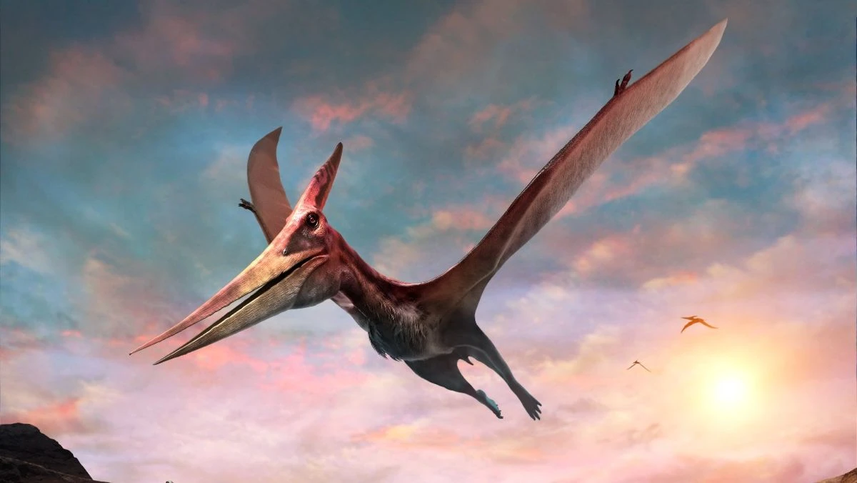 Pteranodon | Animal Atomizer Wiki | Fandom