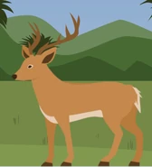 List Of Animals Who Seen in Vyond | Animal Atomizer Wiki | Fandom