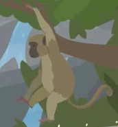 List Of Animals Who Seen in Vyond | Animal Atomizer Wiki | Fandom