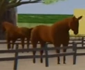 Domestic Horse | Animal Atomizer Wiki | Fandom