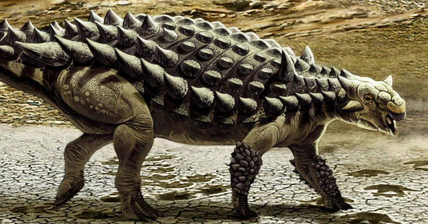 Saichania | Animal Atomizer Wiki | Fandom