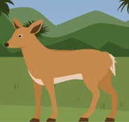 List Of Animals Who Seen in Vyond | Animal Atomizer Wiki | Fandom