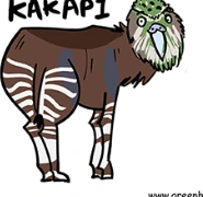 Kakapi | Animal Atomizer Wiki | Fandom