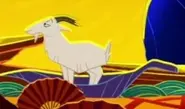 List Of Animals Who Seen in The Lion King | Animal Atomizer Wiki | Fandom