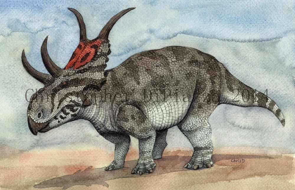 Diabloceratops | Animal Atomizer Wiki | Fandom