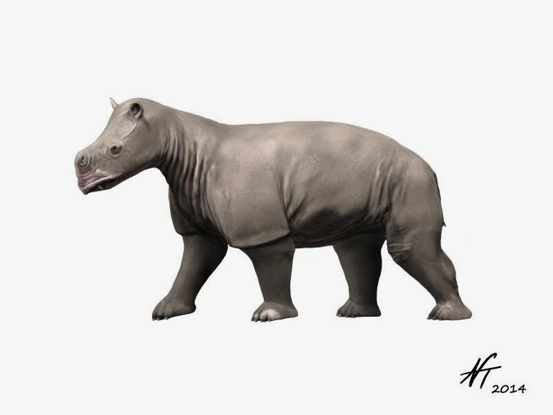 Coryphodon | Animal Atomizer Wiki | Fandom