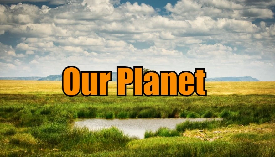 Our Planet (Grasslands) | Animal Atomizer Wiki | Fandom