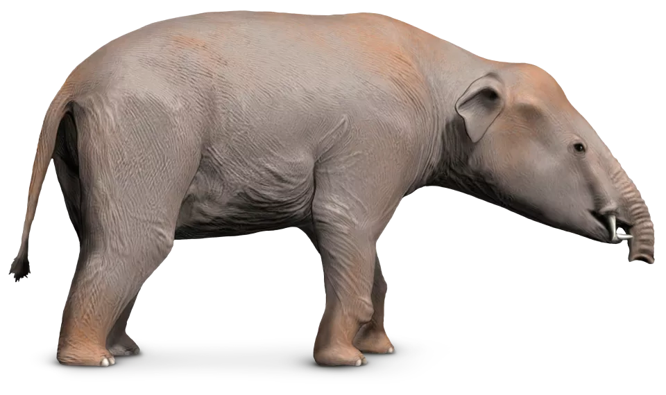 Palaeomastodon | Animal Atomizer Wiki | Fandom