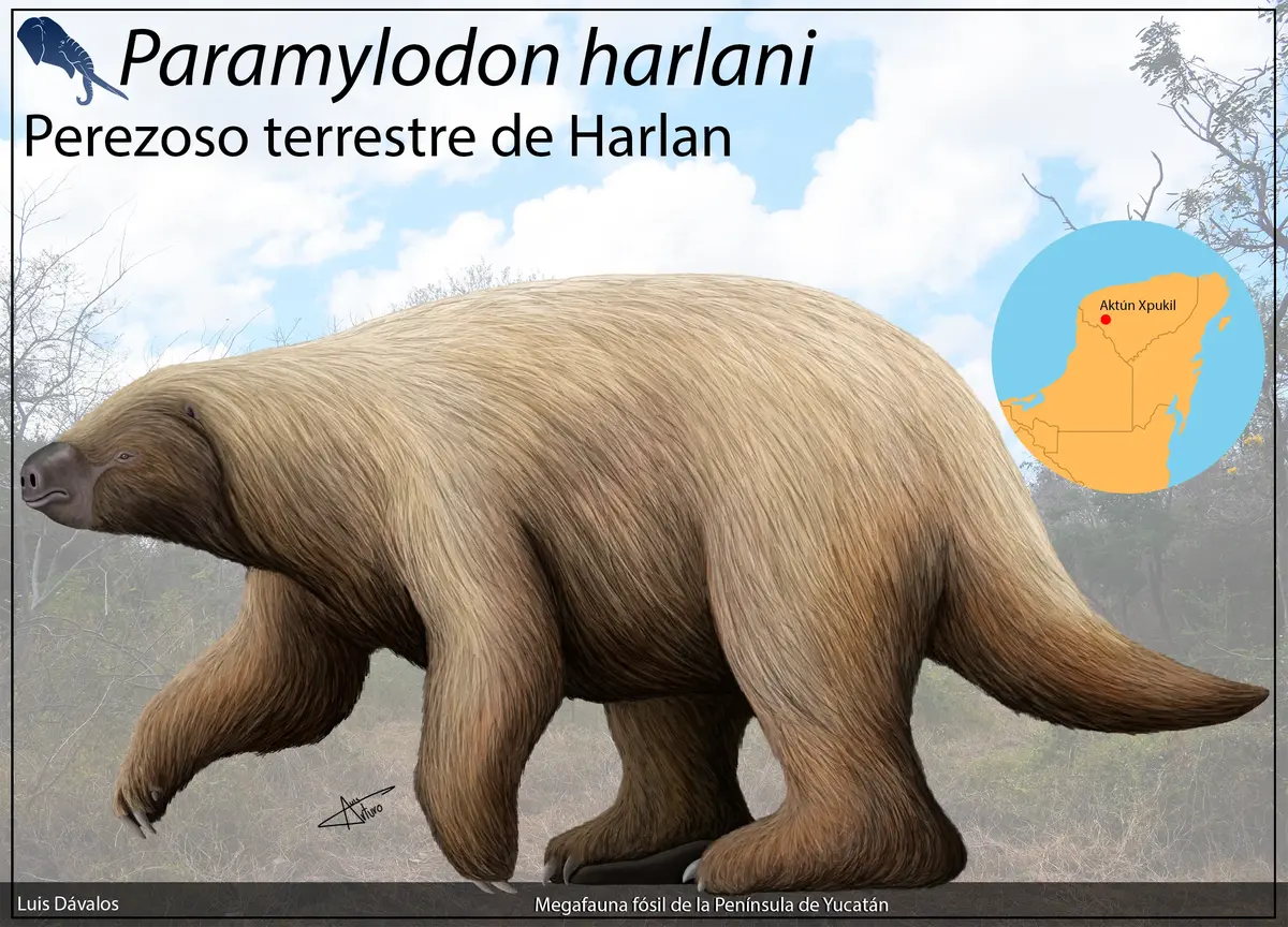 Paramylodon | Animal Atomizer Wiki | Fandom