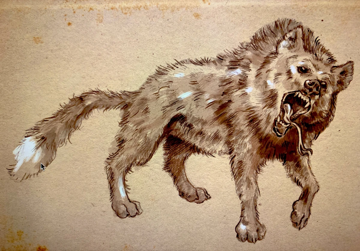 Wog | Animal Atomizer Wiki | Fandom