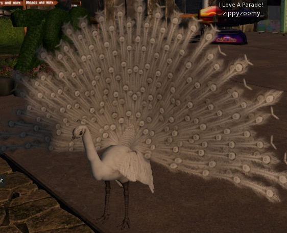 White Peacock | Animal Atomizer Wiki | Fandom