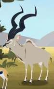 List Of Animals Who Seen in Wild Kratts | Animal Atomizer Wiki | Fandom