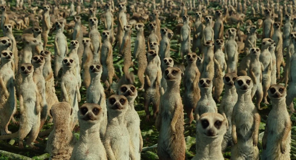 List Of Animals Who Seen in Life Of Pi | Animal Atomizer Wiki | Fandom