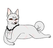 Gou | Animal Groups Roleplay Wiki | Fandom